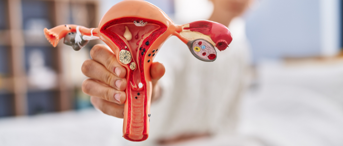 Blocked or Scarred Fallopian Tubes and How This Can Affect Female Fert