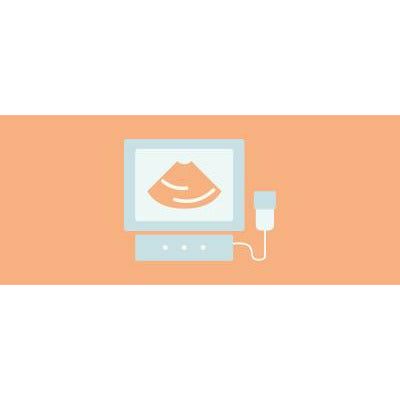 Follicle Tracking Scans | Female Ultrasound | IVF Matters